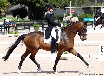 Dressage Olympian Cesar Parra suspended by the FEI and USEF over ...