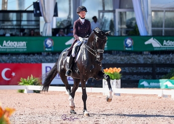 France's Morgan Barbancon won the Grand Prix Special in Wellington