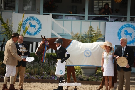 Isabell Ehman on Magnolia is Junior Jumper Champion, Ava Barnes was ...