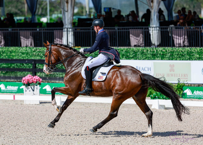 Ben Ebeling on Escona 8 won the Prix St. George Future Challenge at the ...