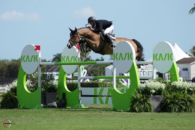 Bertram Allen won the Grand Prix at WEF while Wachman and Moggre also win