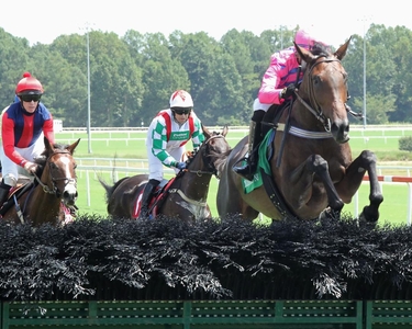 Mark Beecher and Arch Kingsley saddled Maiden winners at Colonial