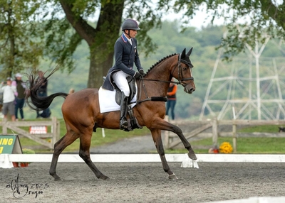 Boyd Martin on Luke 140 leads the CCI4-S after the dressage phase at ...