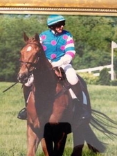 Equestrian and theater director Bud Martin currently directing Other World