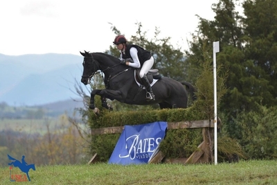 Caroline Martin won all three East coast Young Horse titles horses ...
