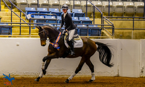 Caroline Martin won all three East coast Young Horse titles horses ...