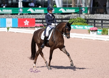 Codi Harrison won the Grand Prix Special while Jorst and Tarjan qualify ...