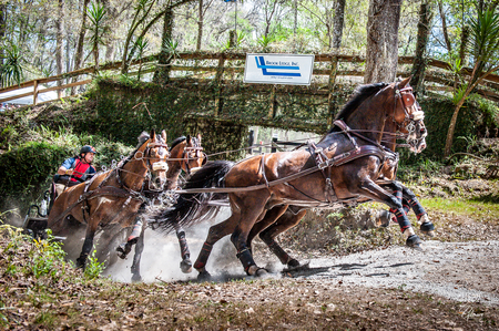 Chester Weber is second afer the marathon at the World Championships in ...