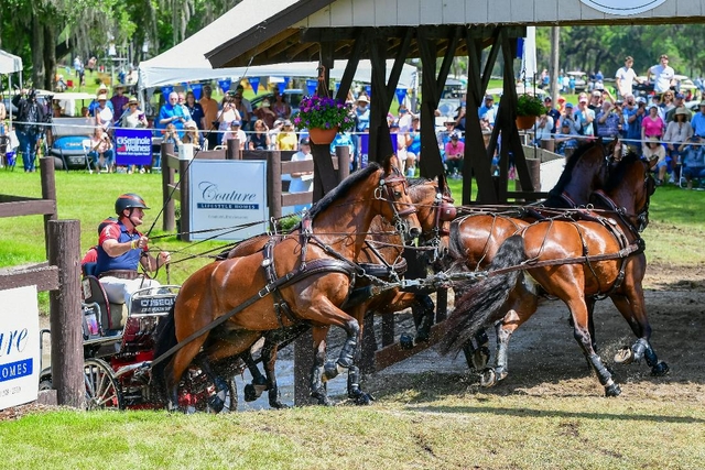 Chester Weber won the Advanced Four-in-Hand at Live Oak International