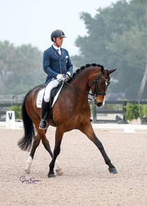 Chris Hickey won the Prix St. George at Global Dressage