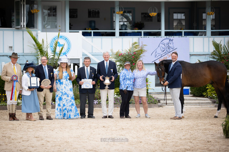 Robert Clark's Harbor Square Best Young Horse at Devon