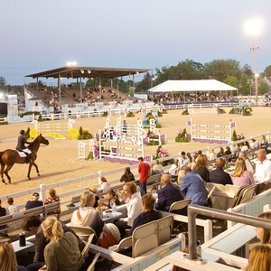 Scott Stewart leads the list of hunter riders with qualified horses for ...