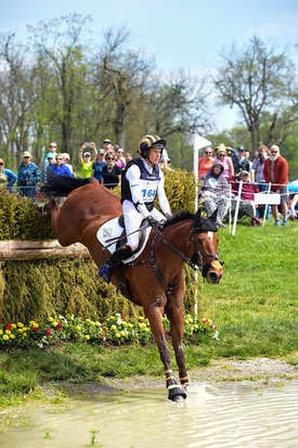 Elisabeth Halliday, Will Coleman and Boyd Martin top three after ...