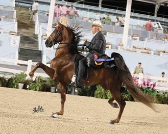 Devon celebrates a record year