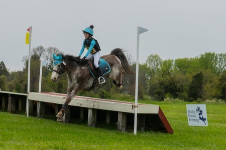 The Horse of Delaware Valley