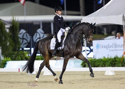 Germany's Felicitas Hendricks and Frederic Wandres won the Grand Prix ...