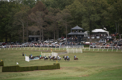 Foxfield Races to be livestreamed on National Steeplechase Association ...