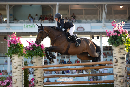 The Horse of Delaware Valley