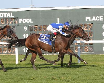 It's A Journey wins thriller in Mrs.Penny, Jockey Mychel Sanchez and ...