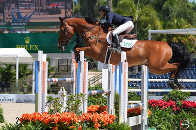 Laura Chapot and Scott Stewart WEF Circuit Champs again, while huge new ...