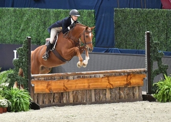 Scott Stewart Leading Hunter Rider, Laurie Barna and Hannah Blaisdell ...