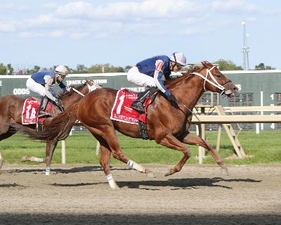 It's A Journey wins thriller in Mrs.Penny, Jockey Mychel Sanchez and ...