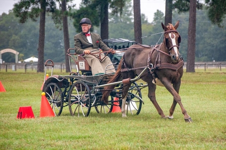 A tutorial on how to compete in Combined Driving Events