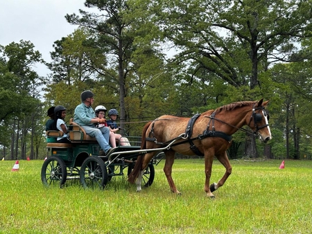 A tutorial on how to compete in Combined Driving Events