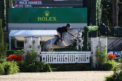 Nick Haness Won Three Championships in Hunter Divisions at WEF