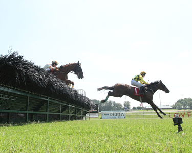Churchill Downs buys Colonial Downs, home to summer steeplechasing
