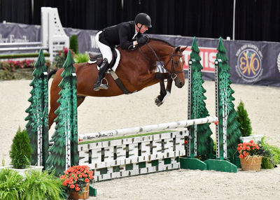Scott Stewart on Florian won the Green Hunter Incentive Championships