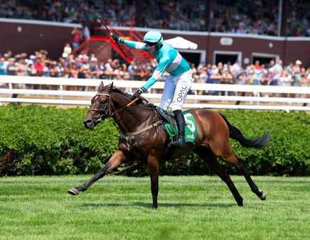 The Horse of Delaware Valley