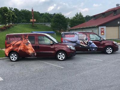 Come to Stoltzfus Feed for all your equine feed and supply needs!