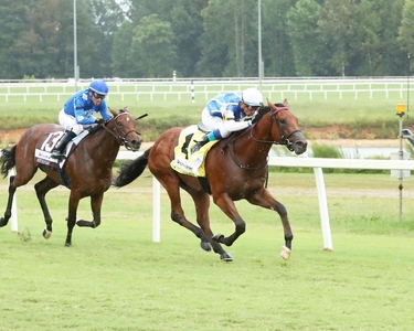 Motion has 3 Stakes wins, Matz, Merryman, Brion and Fisher have winners