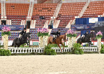 Keswick was Hunt Night Champion with Cheshire Reserve Champion at ...