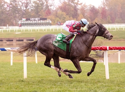 Pennsylvania's number of foals dropped 25.5 percent from 2022 to 2023 ...