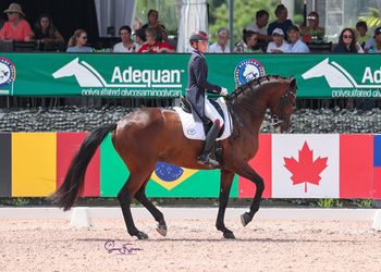 Father and son Jan and Benjamin Ebeling win at Global Dressage
