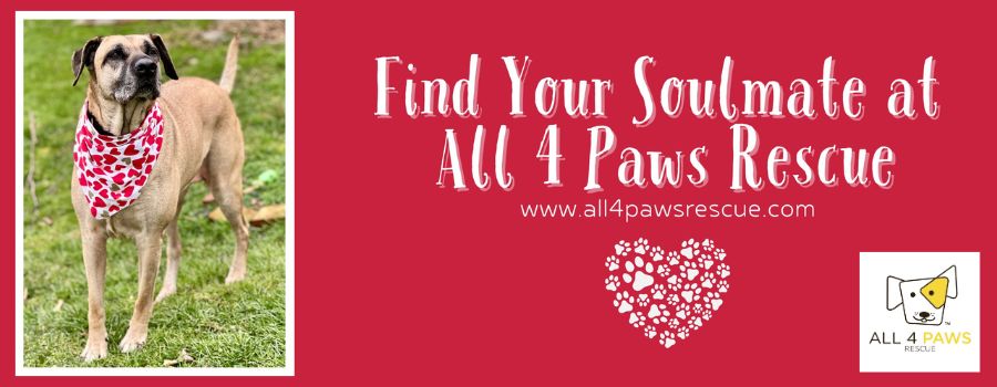 The Horse of Delaware Valley