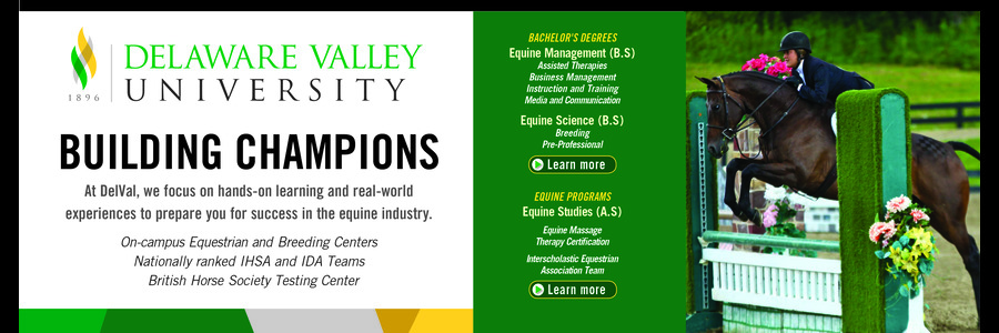 The Horse of Delaware Valley