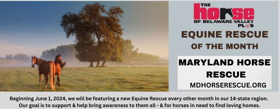 Maryland Horse Rescue Donations
