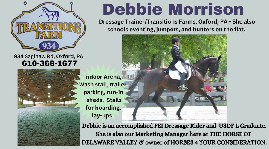 The Horse of Delaware Valley