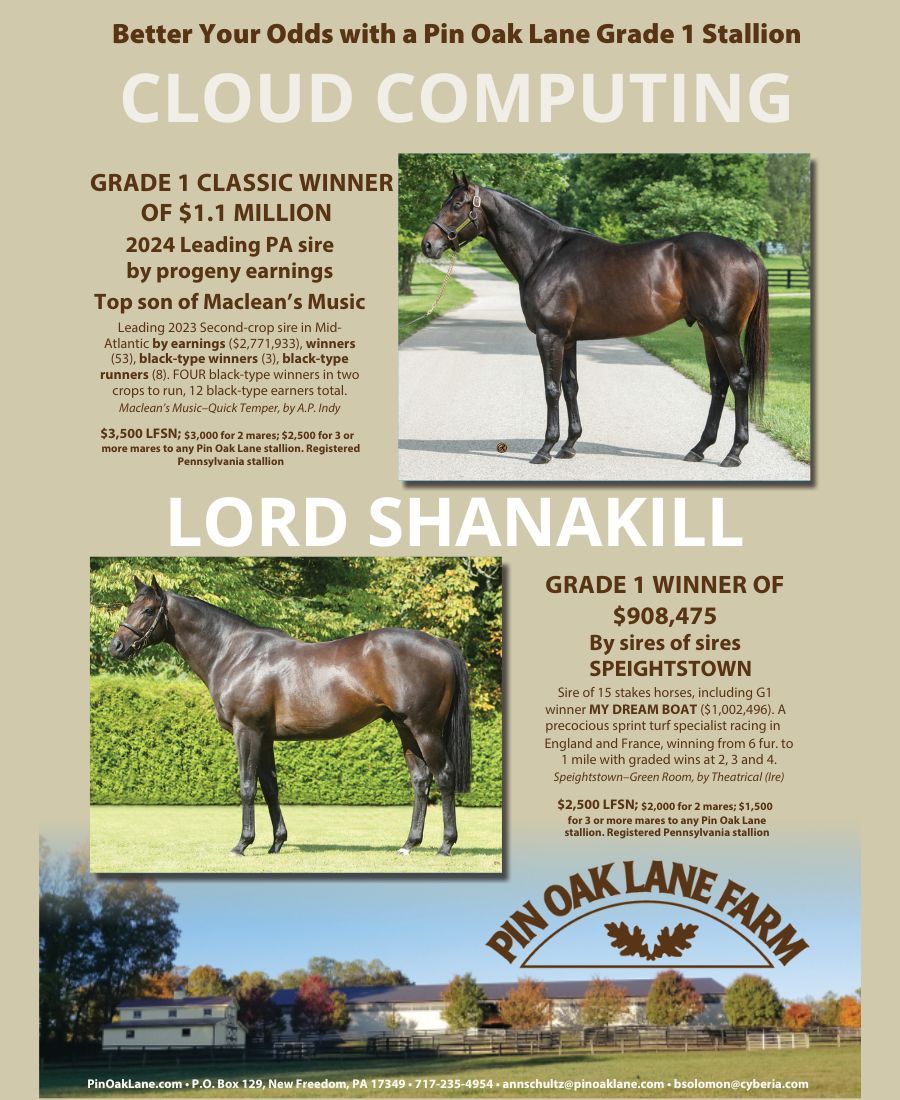 The Stallion Collection at Iron Spring Farm includes Kalman, Cum Laude ...