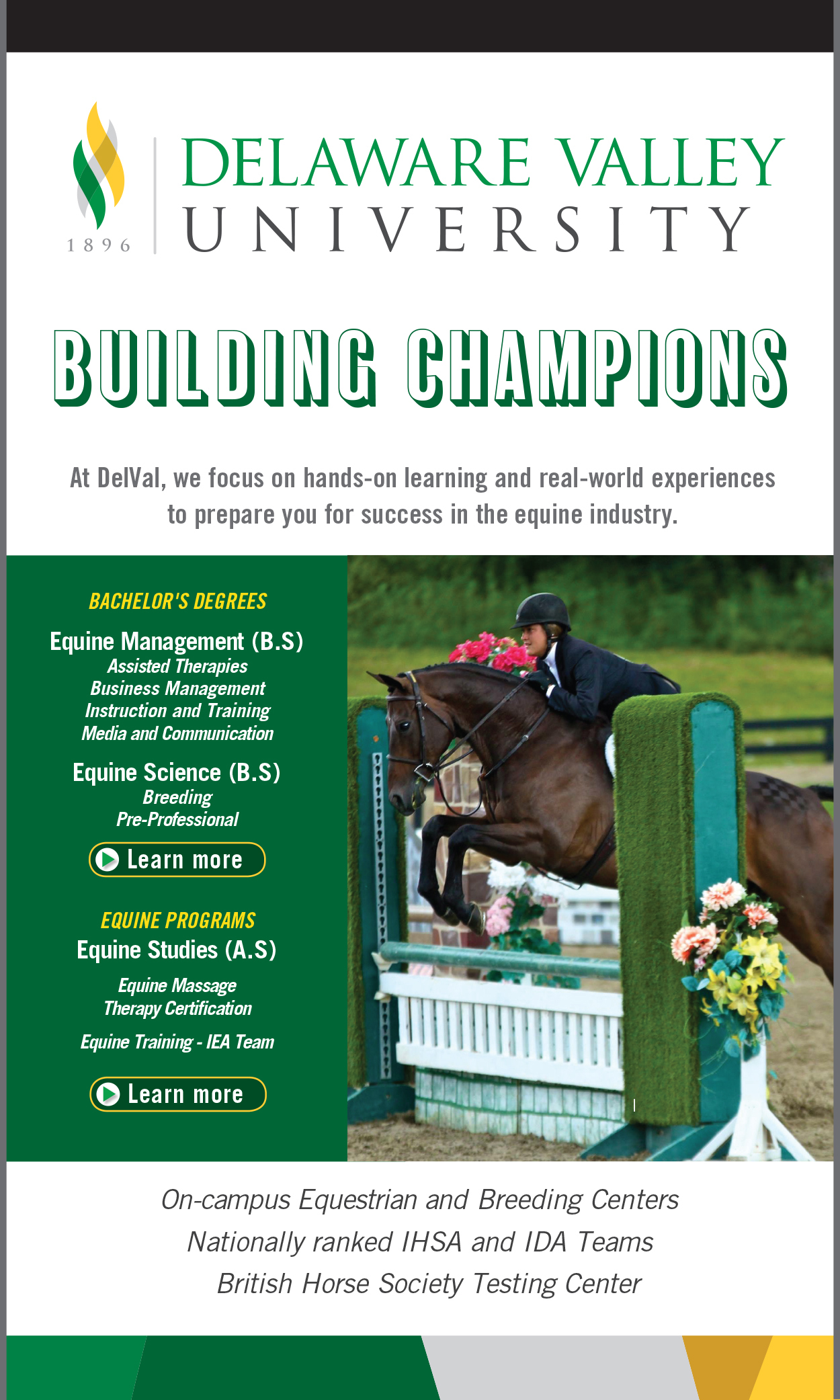 The Horse of Delaware Valley