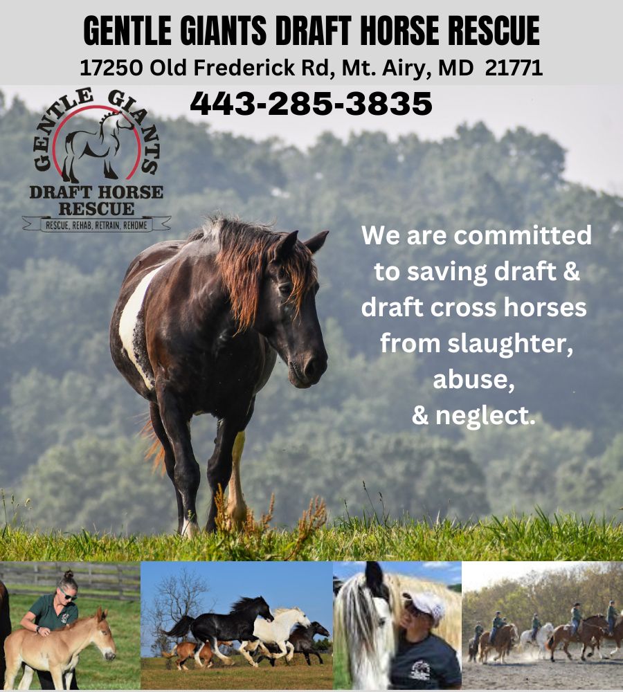 The Horse of Delaware Valley