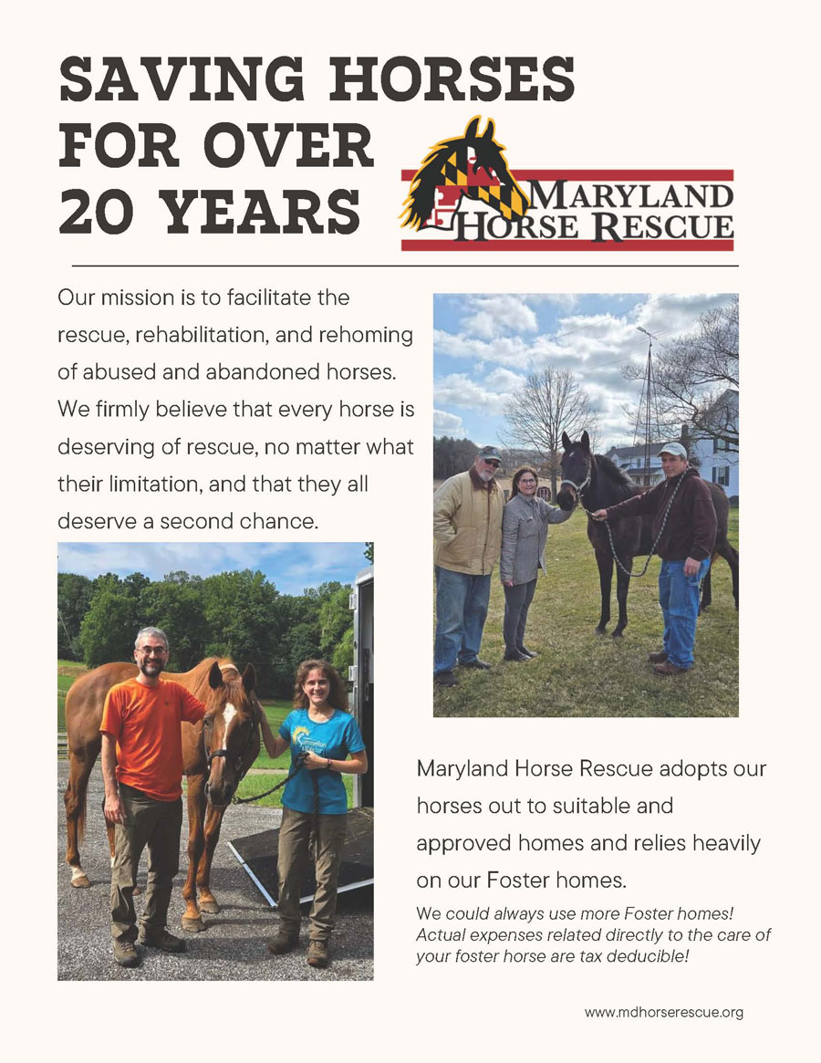Maryland Horse Rescue Saving Horses