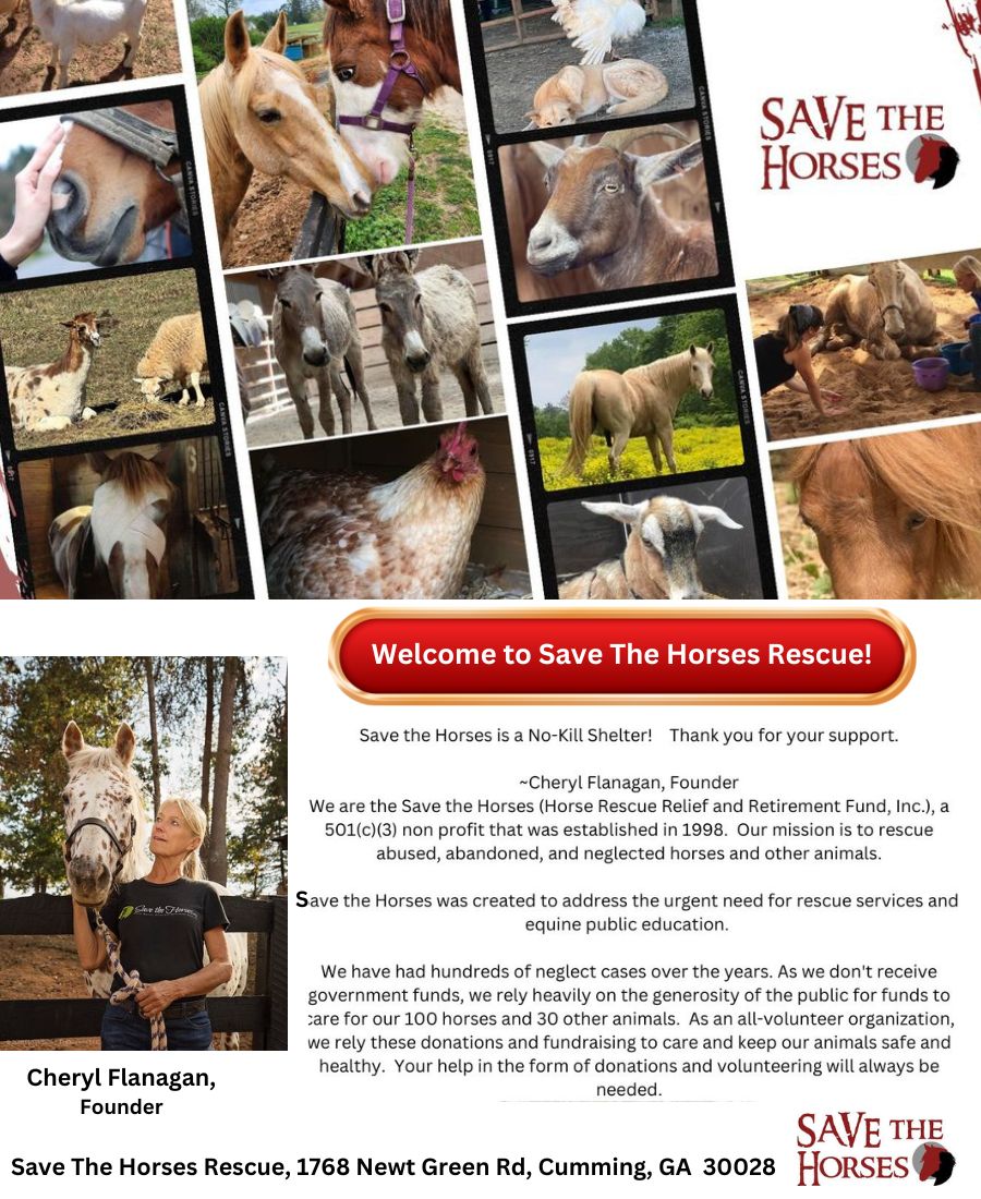 Equine Rescue