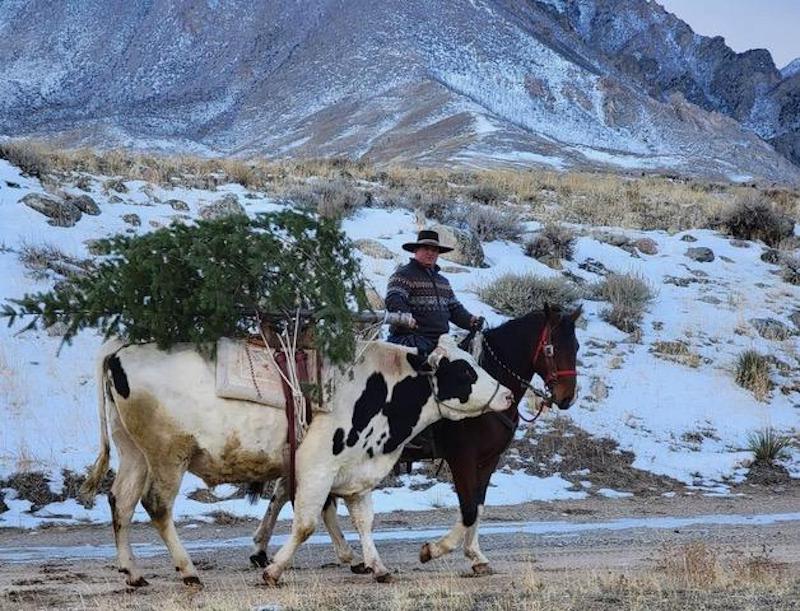 Candid Photos Honorable Mention by Judith Jefferis