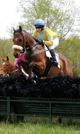 NSA rule banning apprentice riders at Saratoga roils steeplechase world
