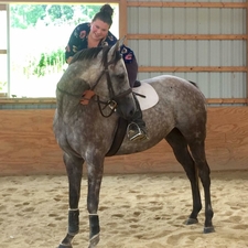 Abbie Fisher has successfully retrained over 300 OTTB horses